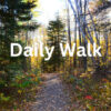 Daily Devotionals - Walk Thru The Bible