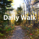Daily Devotionals - Walk Thru The Bible