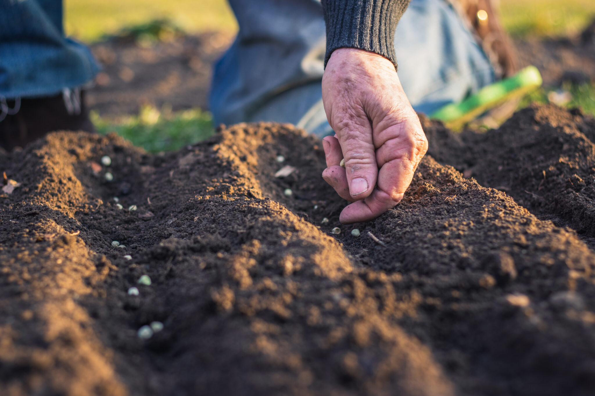 The Parable of Parables: What Kind of Soil Are You? - Walk Thru The Bible