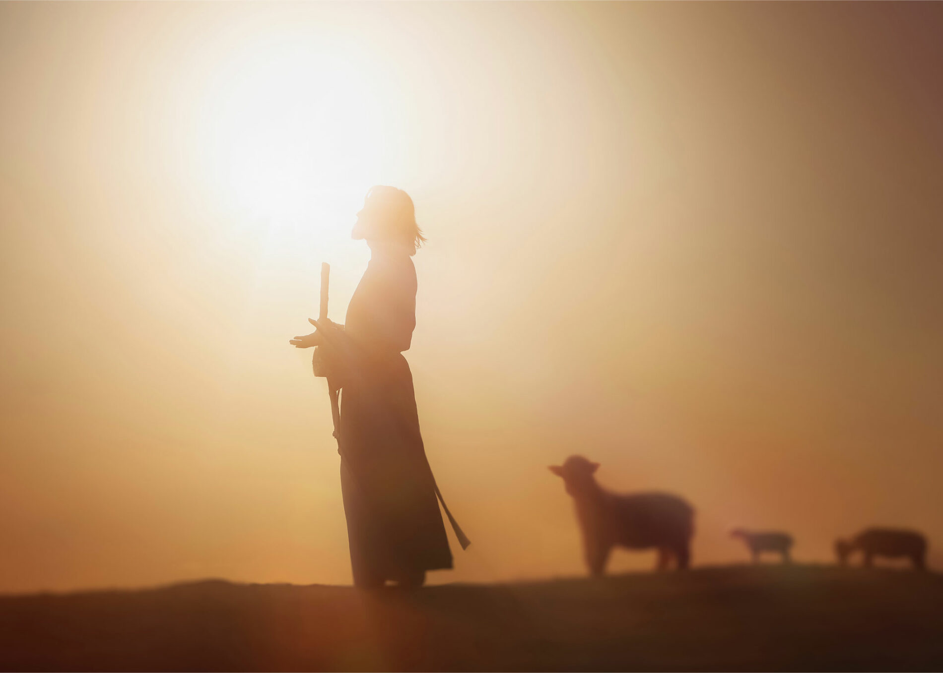 God Unveiled - Walk Thru The Bible