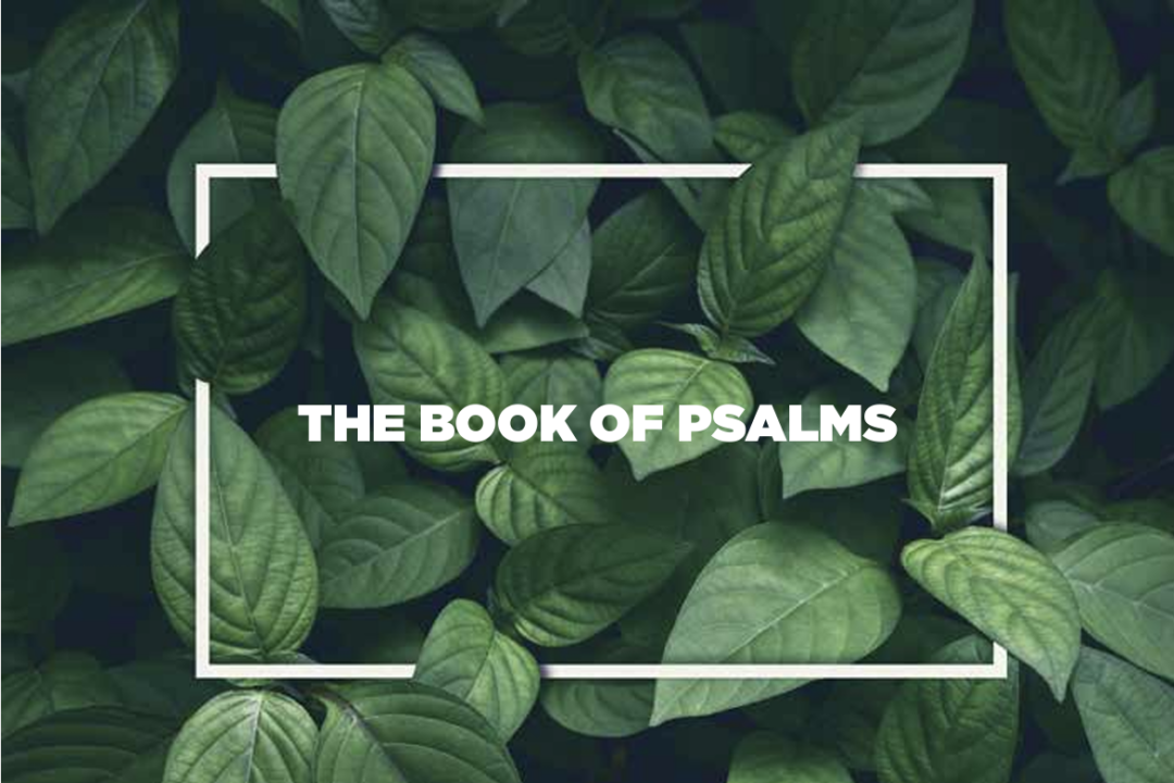 Home - Walk Thru The Bible