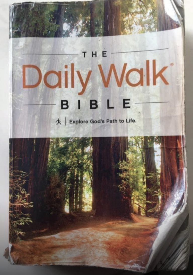 Looking for Jesus in the Daily Walk Bible - Walk Thru The Bible