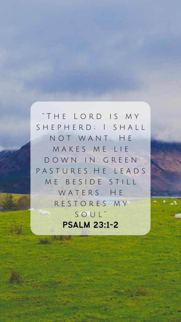 Scripture Memory Challenge - Walk Thru The Bible