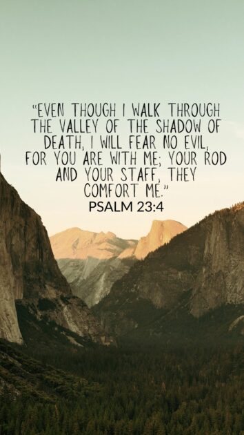 Scripture Memory Challenge - Walk Thru The Bible